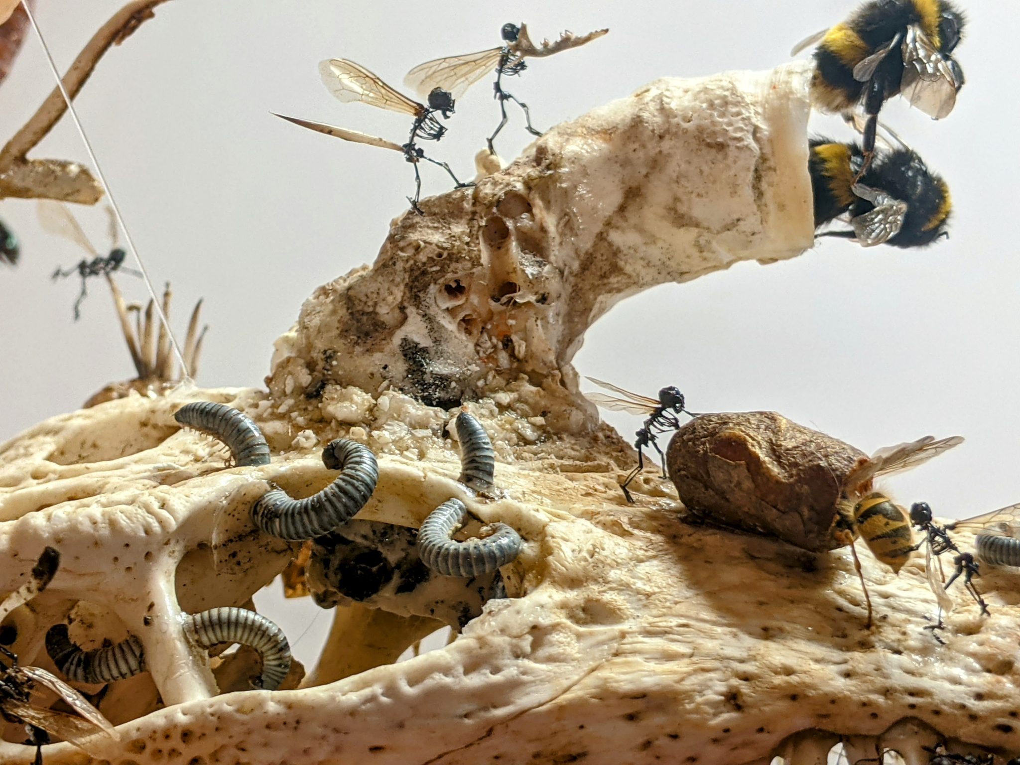 Swarming Fever (skullship detail) limited edition print - The Last ...